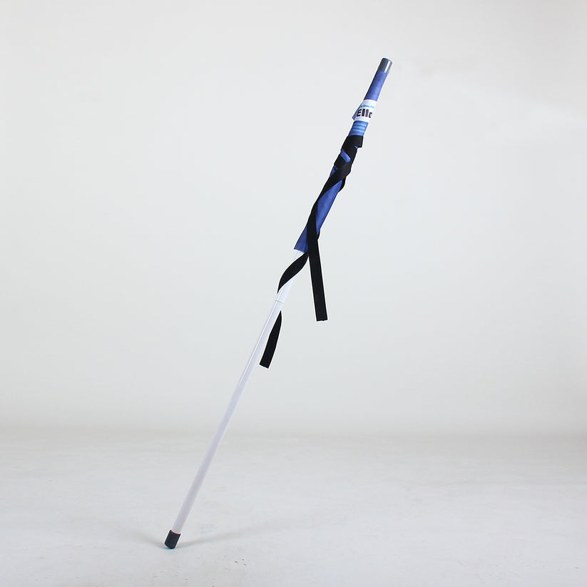 Sin Kiske Flag Cosplay for Sale – CosplaySparks